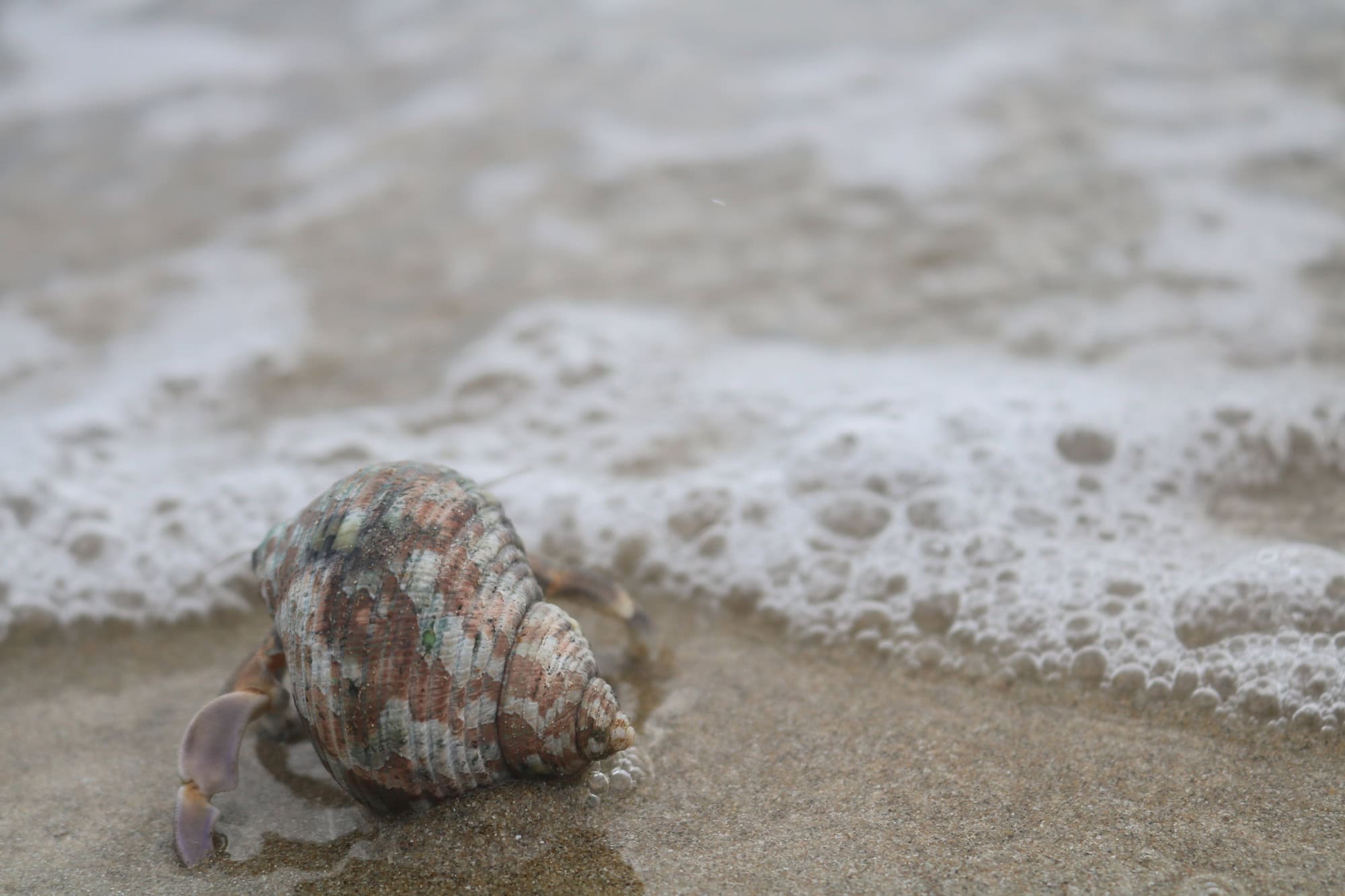 Les 25 plus belles plages du monde : spots paradisiaques et mers d ...